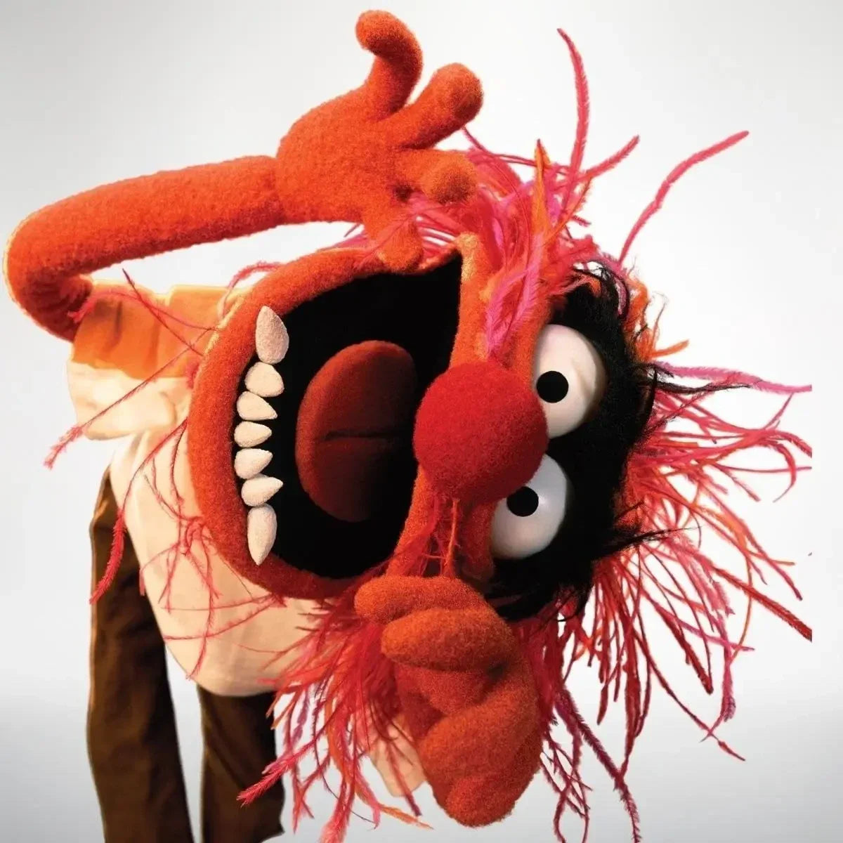 The Muppet Show